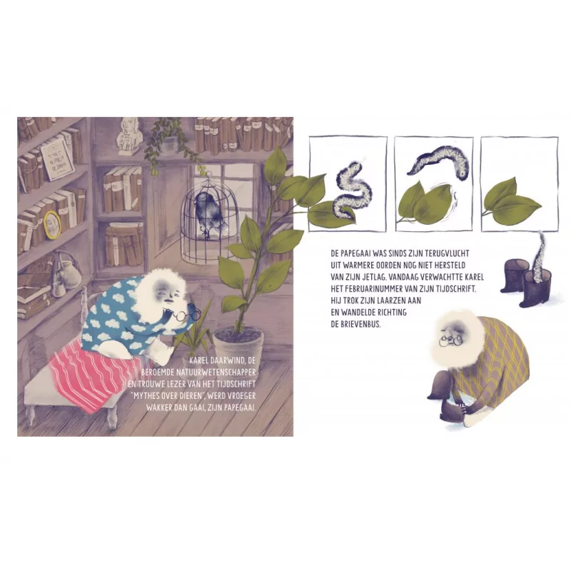 In de voetsporen van Karel Daarwind-In de voetsporen van Karel Daarwind